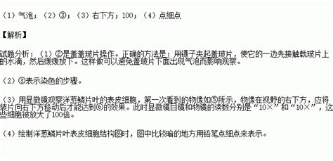 下图表示洋葱鳞片叶表皮细胞临时装片制作与观察的部分步骤请据图回答1②是盖盖玻片操作正确的方法是用镊子夹起盖玻片使它的一边先接触载