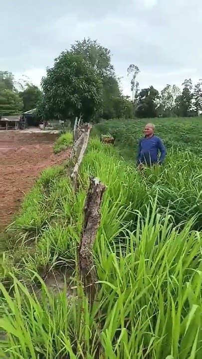 😊😊🤗🤗 ️ ️ เชฟหนึ่ง เชฟไทยในต่างแดน นักสู้ต่างแดน คนไทยในเกาหลีใต้ 🇹🇭