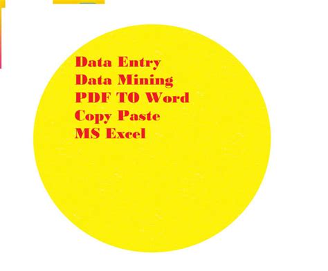 Data Entry Ms Excelms Wordtyping Skills Convert Pfd To Word Copy