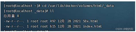 Docker数据卷详细讲解及数据卷常用命令