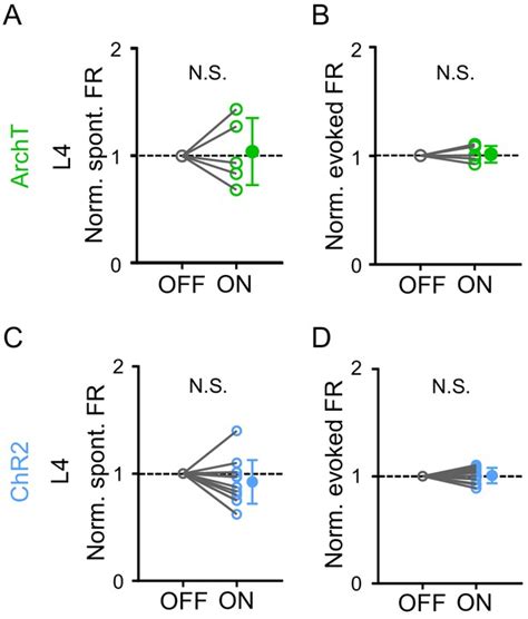 Figures And Data In Contextual And Cross Modality Modulation Of Auditory Cortical Processing