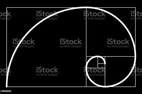 황금 비율입니다 나 선의 건설에 대 한 템플릿입니다 구성 비율의 이상적인 비율을 건설 서식 파일 디자인입니다 나선형 황금 비율의 확장 가능한 벡터 일러스트 레이 션 0명에