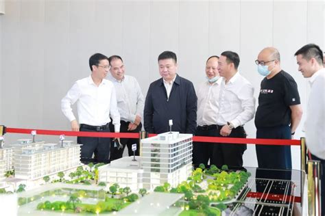 鹿城区委书记白洪楞走访调研企业：打好稳增长组合拳！ 新闻中心 温州网