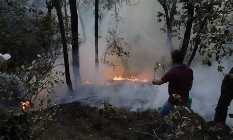 Se Mantienen Activos Incendios Forestales En Hidalgo Son Combatidos