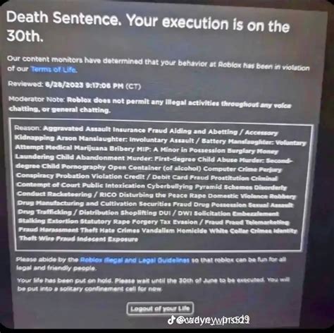 Got a little too carried away on Roblox... : r/teenagersbuthot