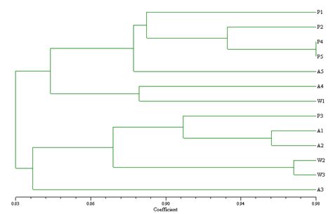 Upgma Cluster Analysis Based On The Genetic Distance Generated From Nei