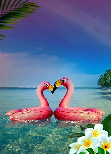 Ергенът Любов в рая Btv Plus