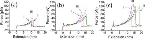 Representative Experimental And Simulated Force Extension Curves Under
