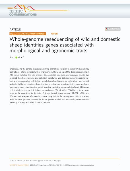 Whole Genome Resequencing Of Wild And Domestic Sheep Identifies Genes Associated With