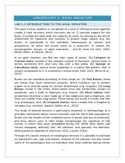 Lab Axial Skeleton Docx Laboratory Axial Skeleton Lab Introduction To The Axial