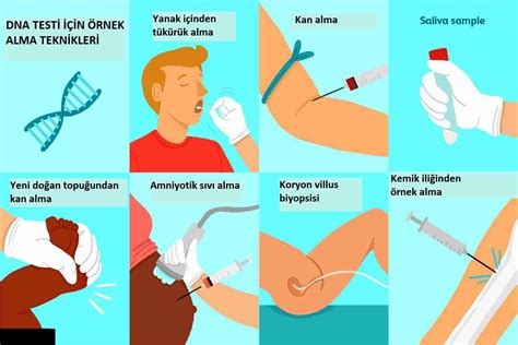 Dna Testi Nasıl Yapılır