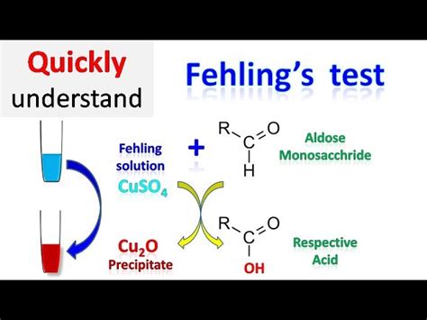 Fehlings Test Definition Principle Procedure Result 41 Off