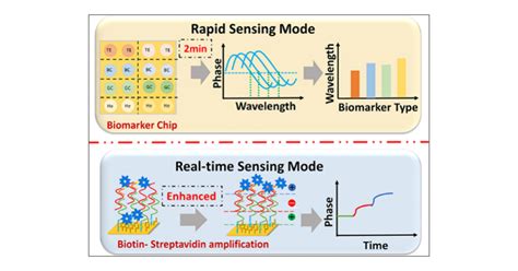 Advancing Microrna Detection Enhanced Biotin Streptavidin Dual Mode