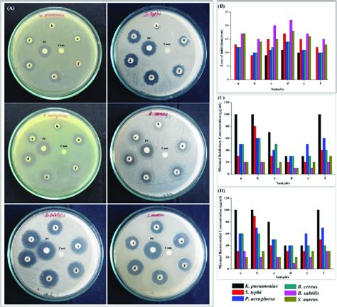 Antibacterial Activity Using A Disc Diffusion Assay For Nio 1 3 5