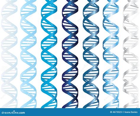 DNA Strands Royalty Free Stock Photo CartoonDealer 4673523