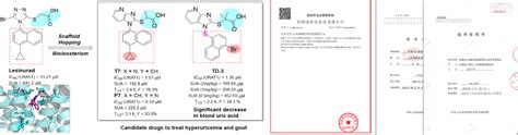 刘新泳教授团队获第二届山东大学十大高价值应用科技成果奖 山东大学药学院