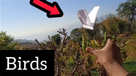How To Make At Home Paper Birds Recommended Home Made Birds Birds Experiment Eassy Highlights