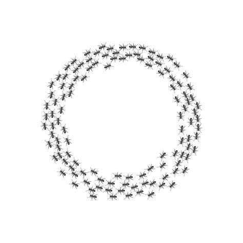 Ants Going In A Circle Ant Death Circle Vector 39662120 Vector Art At