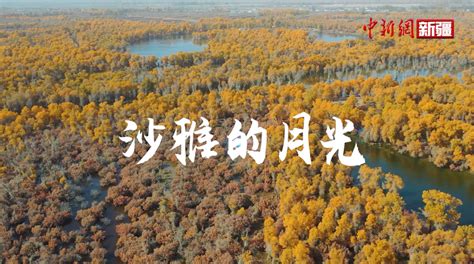 新疆第三家地州统一法人农商银行——和田农商银行揭牌开业 中新网·新疆