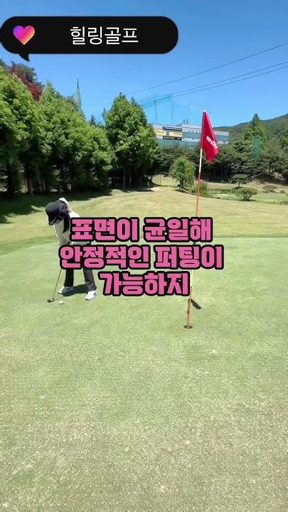 골프장 잔디의 비밀 조선잔디와 양잔디의 차이점은 Youtube