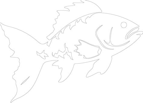 Coelacanth Outline Silhouette 38491219 Vector Art At Vecteezy