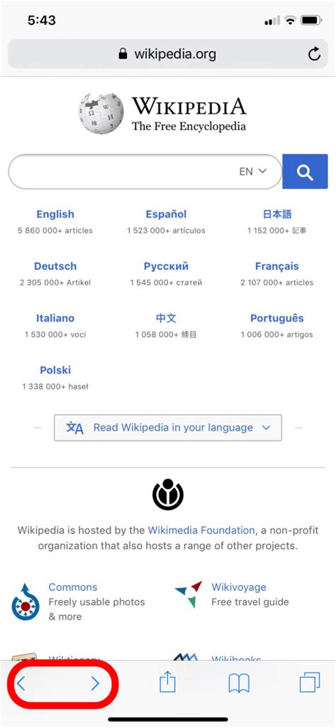 Iphone Basics How To Navigate The Ios Safari App Using The Webpage Icons