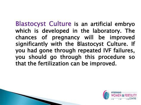 Ppt Blastocyst Culture Procedure Hyderabad By Hyderabad Fertility Powerpoint Presentation Id