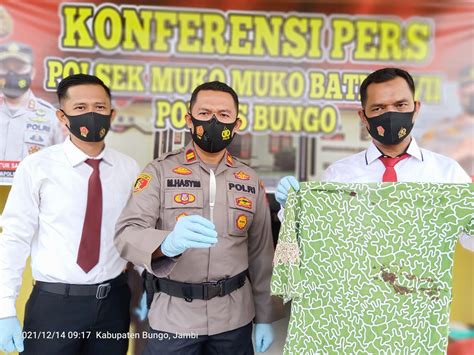 Tolak Berhubungan Badan Suami Hampir Bunuh Sang Istri Fakta Bungo