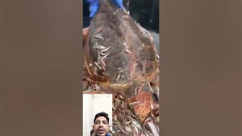 রমজান আসার দুই মাস আগের নবীজি কি দোয়া পড়তেন শুনুন Funny Subscriber