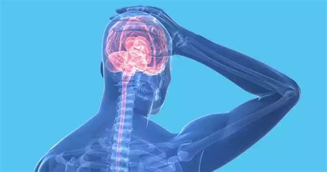 Stem Cell Therapy For Diffuse Axonal Injury In Mumbai India MedAcess