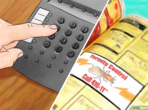 4 Manières De Se Débarrasser Des Termites Wikihow