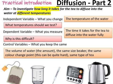 Cell Biology Diffusion KS3 Teaching Resources