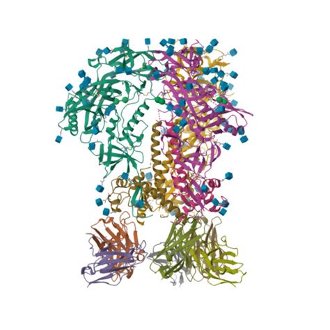 Hiv Envelope Structure