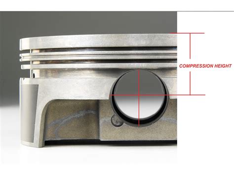 What Is Piston Height At Loyd Honore Blog
