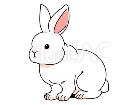 白兎イラスト No 22244571｜無料イラスト・フリー素材なら「イラストac」
