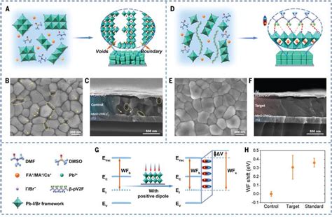 Science：我院李萌教授与德国亥姆霍兹等合作报道高效耐变温钙钛矿太阳能电池 河南大学纳米科学与材料工程学院