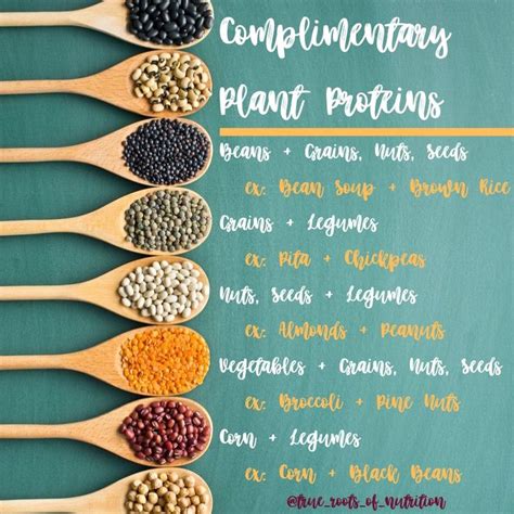 Complementary Proteins