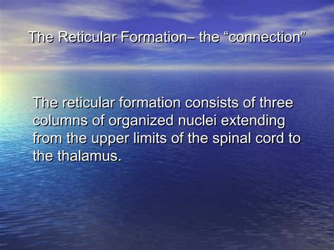 His 120 The Reticular Formation The Connection Ppt