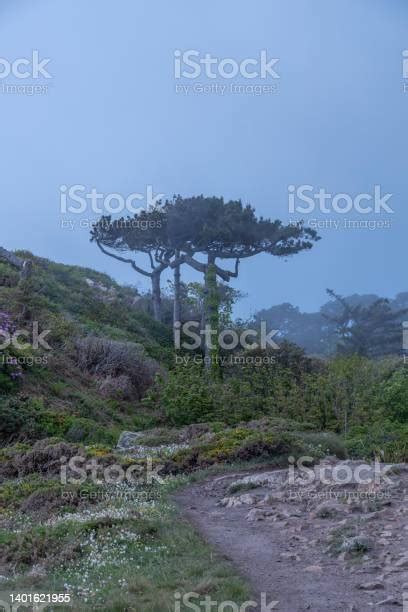 Howth 반도 바위가 많은 해변 강력한 절벽과 풍경 Howth 더블린 아일랜드 0명에 대한 스톡 사진 및 기타 이미지 0명