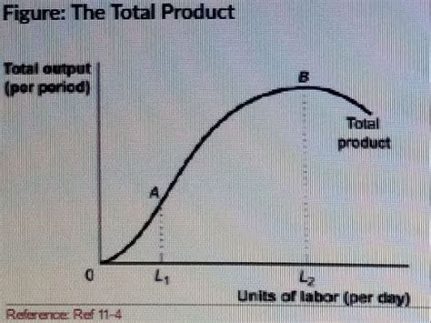 Solved 1 Figure The Total Product Look At The Figure