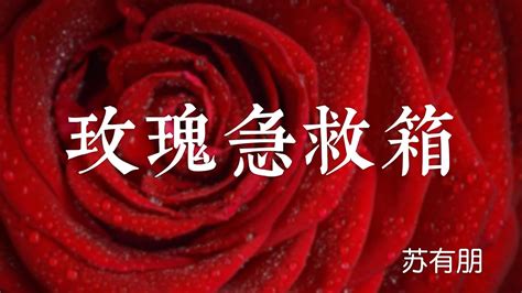 抖音热歌2022苏有朋 玫瑰急救箱MEI GUI JI JIU XIANG等顏色忽然就綻開這嶄新的光彩 动态歌词