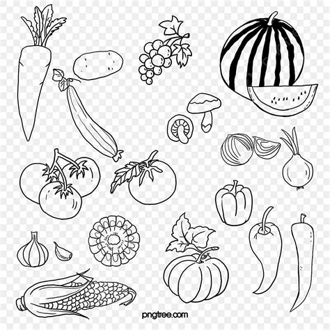 Imagens Frutas Verduras Legumes Az Dibujos Para Colorear Images Porn