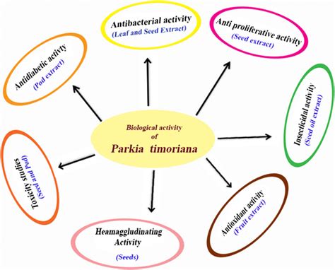 Biological Activities Of Different Parts Of Parkia Timoriana Download Scientific Diagram