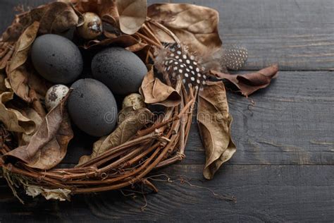 Huevos Negros En Una Jerarqu A De Ramas Secas En Un Tablero Negro Estilo De Pascua Imagen De