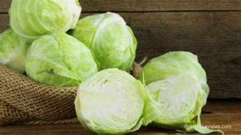 10 Manfaat Kol Untuk Kesehatan Dan Kandungan Nutrisinya Yang Luar Biasa