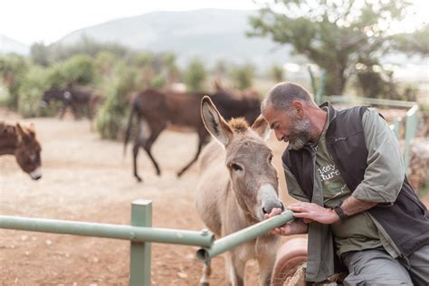 5 φάρμες κοντά στην Αθήνα για εκδρομές με τα παιδιά ΝΟΤΙΑ ΠΡΟΑΣΤΙΑ Noupou Gr