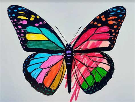 Andrew Project Monarch