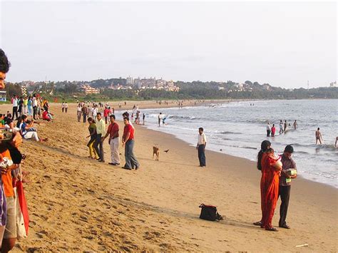 मुंगीमुळे वाचले कचऱ्यात टाकलेले अर्भक मिरामार येथील पर्रीकरांच्या