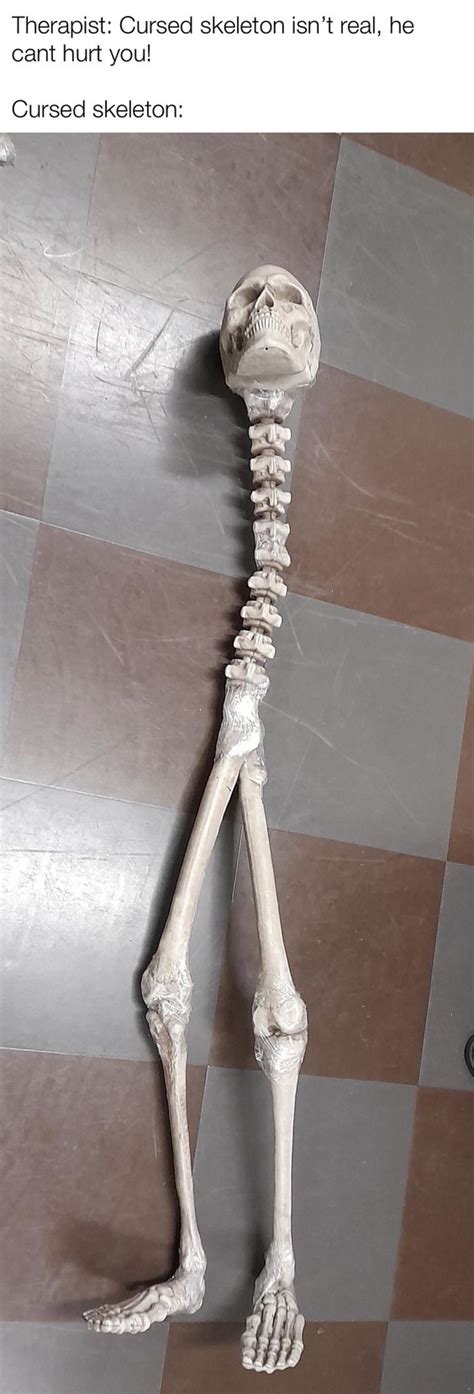 Cursed Skeleton Meme By GunnaBurns Memedroid