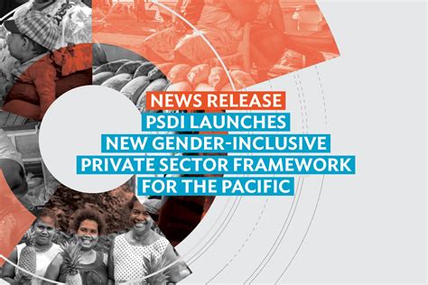 Psdi Launches New Gender Inclusive Private Sector Framework For The